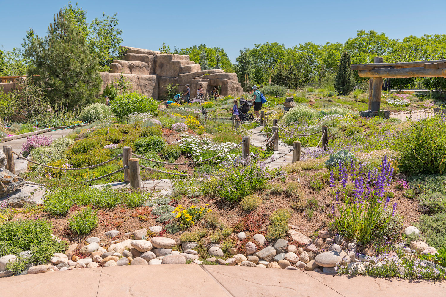 Denver Botanic Gardens at York Street - Mile High on the Cheap