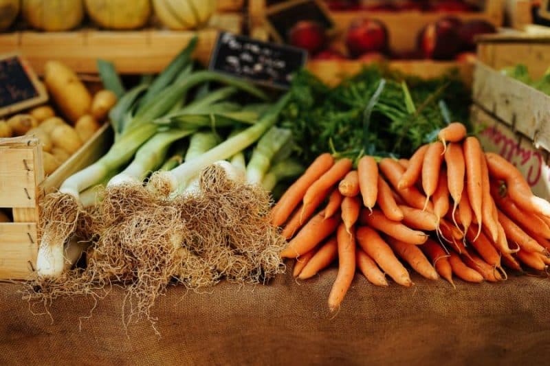 7 Farms and Orchards Where You Can Pick Your Own In 2025 - Mile High on ...