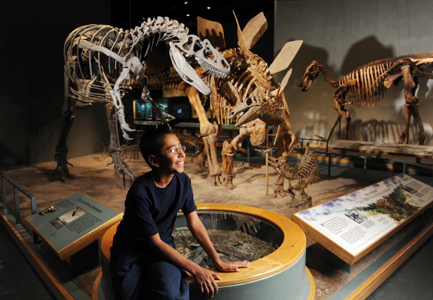 Denver Museum of Nature & Science - Mile High on the Cheap