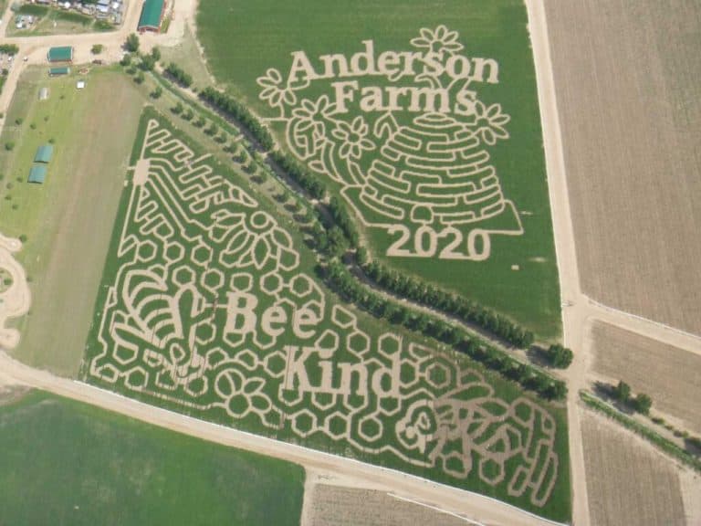 Anderson Farms - Mile High on the Cheap