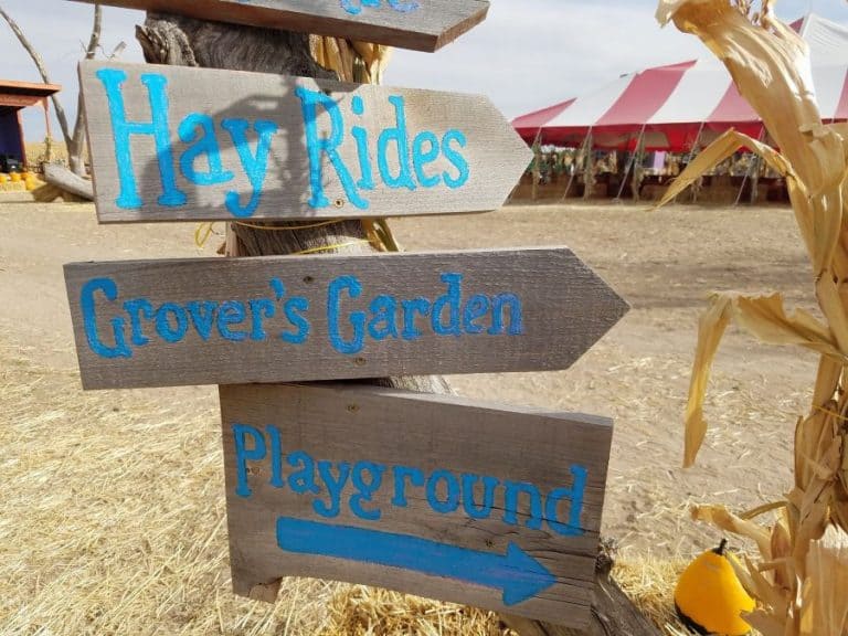 Corn Mazes and Pumpkin Patches Open In 2025 - Mile High on the Cheap