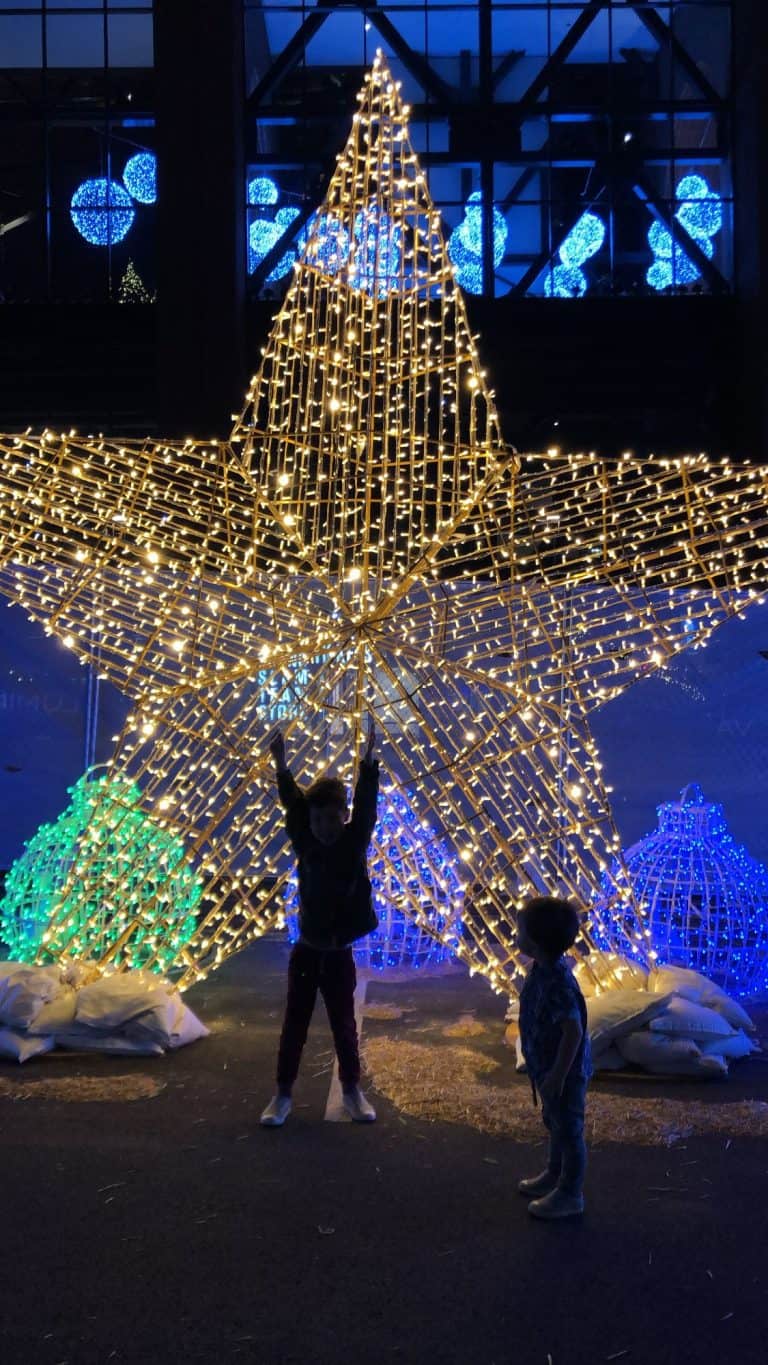 Enter To Win Family 4-Pack of Tickets! Luminova Holidays Brightens ...