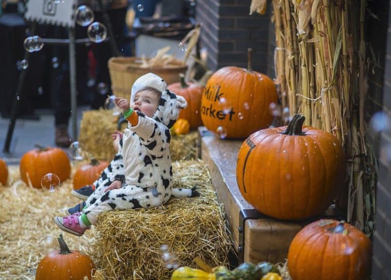 Cozy Up at Fall Flannel Festival on Dairy Block Alley - Mile High on ...