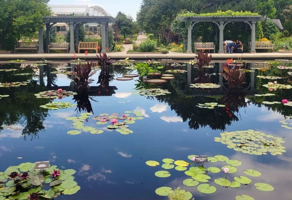 Denver Botanic Gardens at York Street - Mile High on the Cheap
