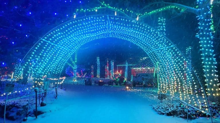 CLOSED for 2025. Amazing Christmas Light Show in Franktown. You Can ...