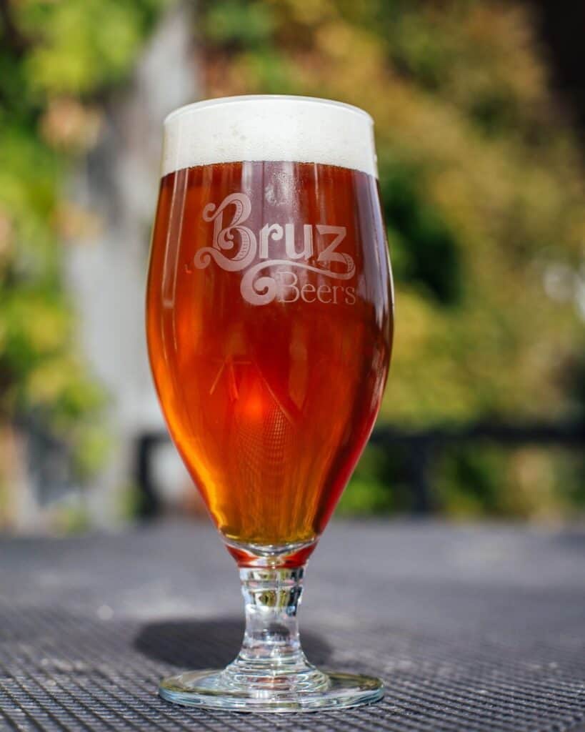 Bruz Beers - Mile High on the Cheap