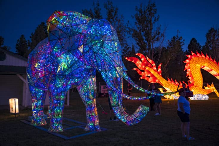 Four Mile Historic Park Lights Up with Biggest Attraction Ever ...