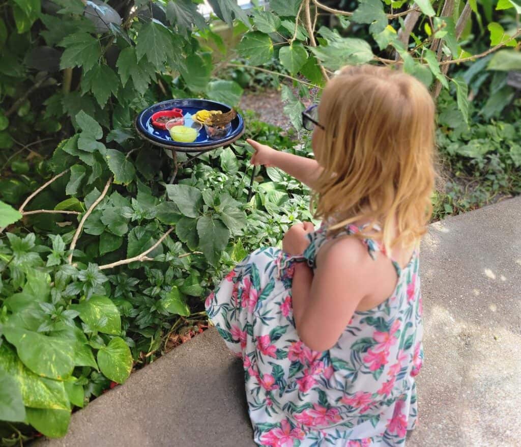 The Butterfly Pavilion Is The Perfect Escape For Bug Lovers & Insect ...