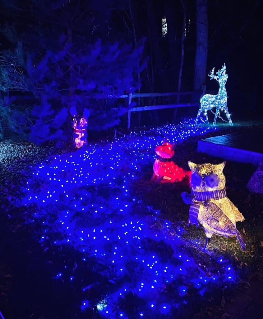 Most Spectacular Christmas Light Displays in the Denver Area - Mile ...
