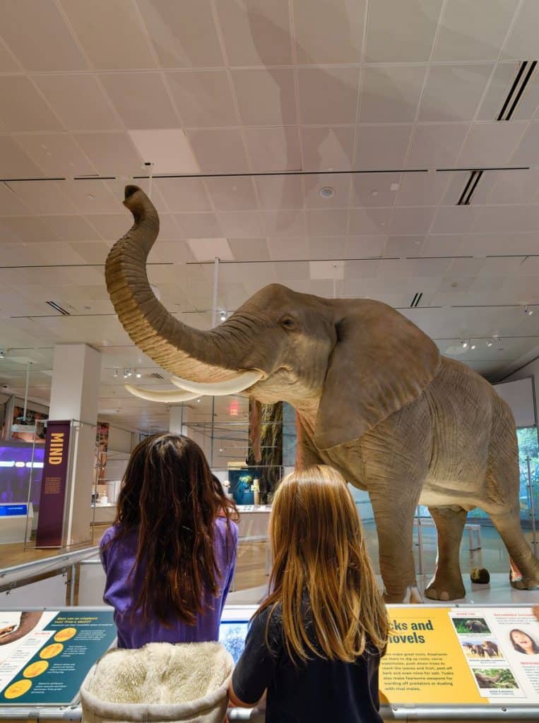 Win Denver Museum of Nature & Science Tickets To See 'The Secret World ...