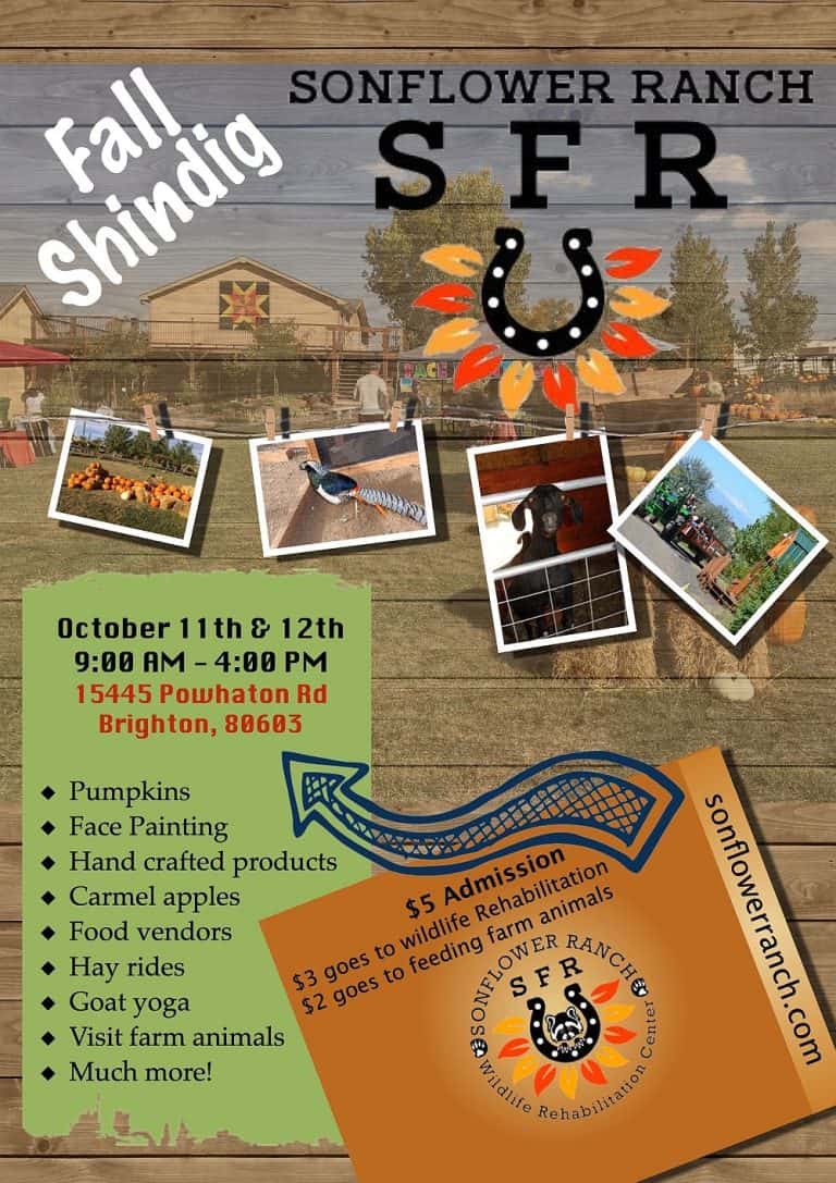 SonFlower Ranch Fall Shindig This Weekend. Farm Animals, Wagon Rides ...